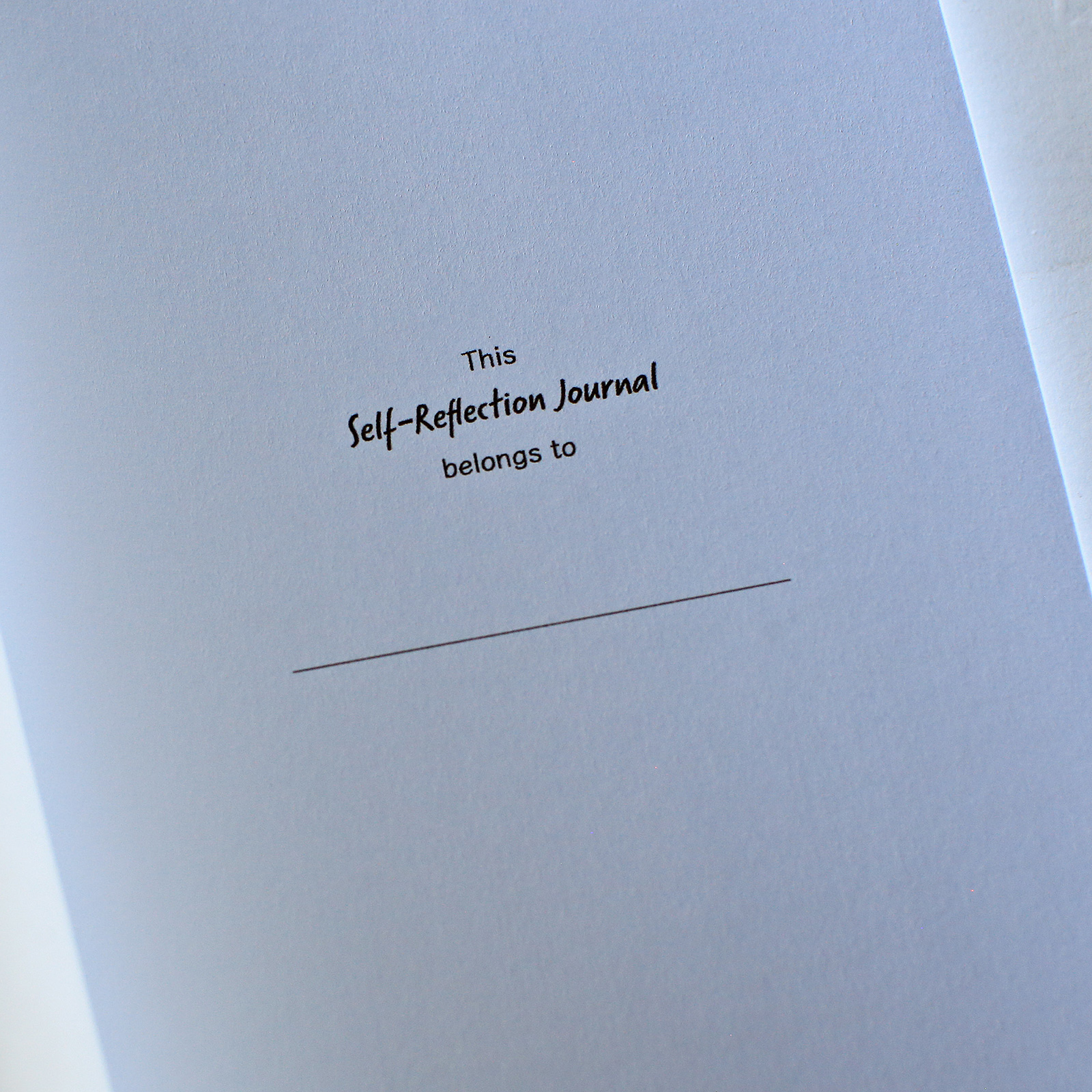 Self Reflection Journal Skit Books